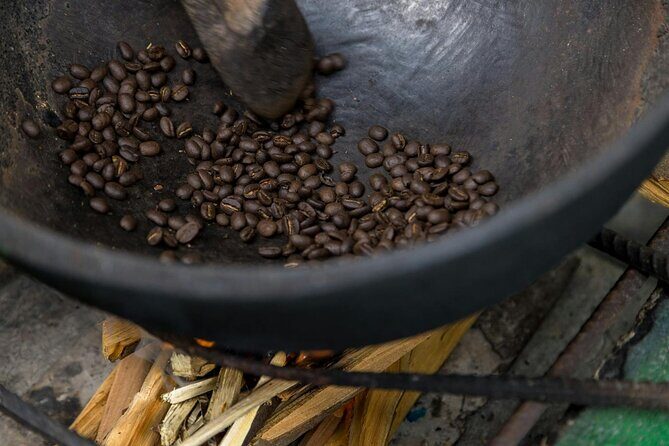 Coffee Farm Hike Through Jamaicas Blue Mountain from Montego Bay - Practical Details and Tips