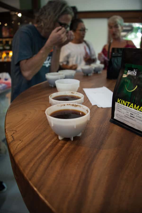 Coffee Roasting and Tasting Experience in the heart of Bali - Who Would Love This Tour?