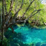 Cofresi Palm Beach & Spa Resort - Puerto Plata Airport - What to Expect During the Transfer