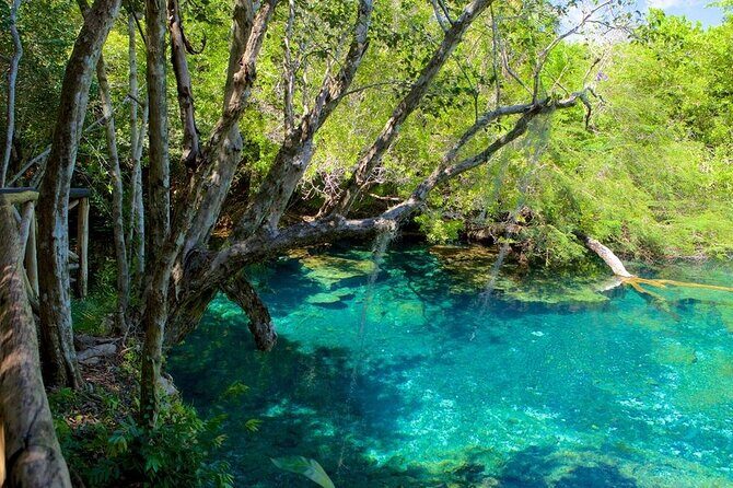 Cofresi Palm Beach & Spa Resort - Puerto Plata Airport - What to Expect During the Transfer