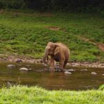 Coimbatore: Kerala Hills Day Trip with Jeep Safari & Lunch - The Itinerary Breakdown