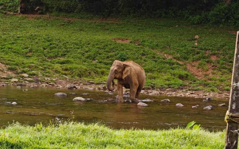 Coimbatore: Kerala Hills Day Trip with Jeep Safari & Lunch - The Itinerary Breakdown