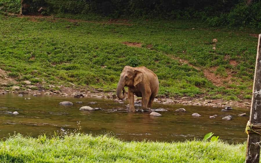 Coimbatore: Kerala Hills Day Trip with Jeep Safari & Lunch - The Itinerary Breakdown