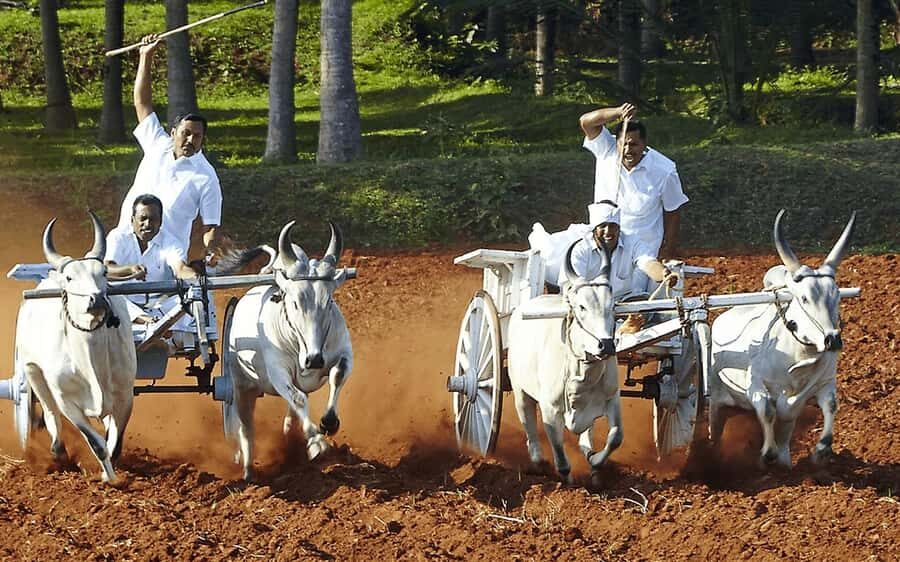 Coimbatore to Coconut Village Day Tour  Nature & Culture - What You Can Expect: A Breakdown of the Day