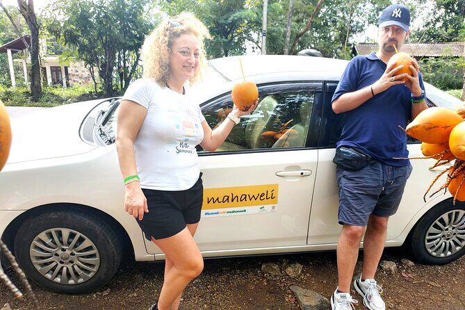 Colombo Airport to Sigiriya and Dambulla Shared Mini Van - The Journey from Colombo Airport to Sigiriya and Dambulla