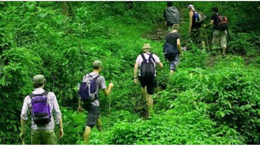 Colombo: Digana Waterfall Swim & Village Walk & Tea Factory - The Journey Begins: From Colombo or Negombo to the Heart of Sri Lanka