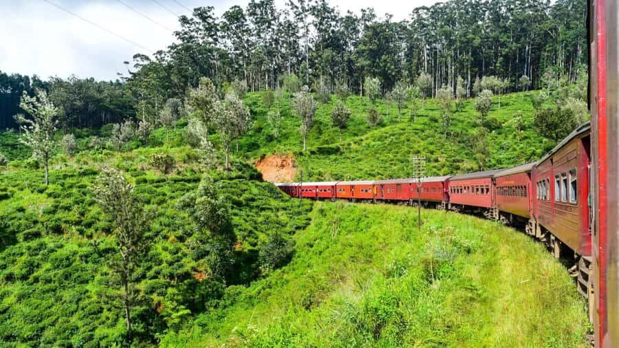 Colombo: Ella Scenic Train Tour with Hotel Transfers - The Itinerary in Detail