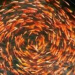 Colombo Galle, Madu River Safari, and Turtle Hatchery - Who Will Appreciate This Tour?