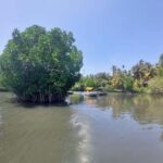 Colombo/Negombo: Koggala Lake Boat Safari and Kayaking Tour - The Boat Safari: A Calm Exploration of Nature