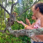 Colombo to Galle Day Tour with Tea Factory & Cinnamon Island - The Itinerary in Detail