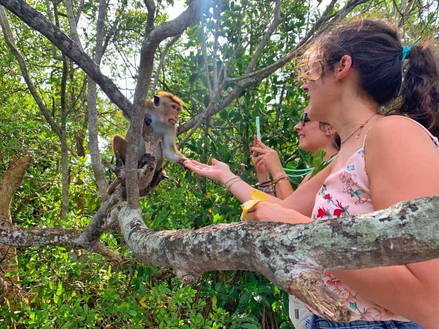 Colombo to Galle Day Tour with Tea Factory & Cinnamon Island - The Itinerary in Detail