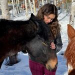 Colorado Springs: Mindfulness with Rescue Mustangs - Who Will Love This?