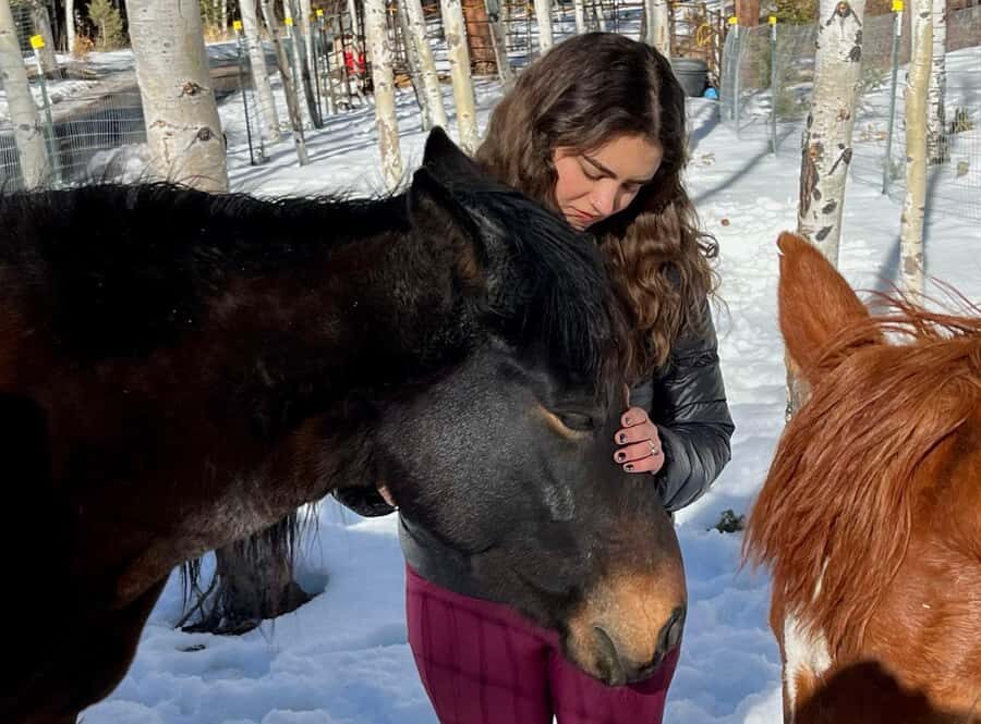 Colorado Springs: Mindfulness with Rescue Mustangs - Who Will Love This?