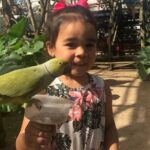 Colorful Species Of Birds - What Do Visitors Say? Authentic Perspectives