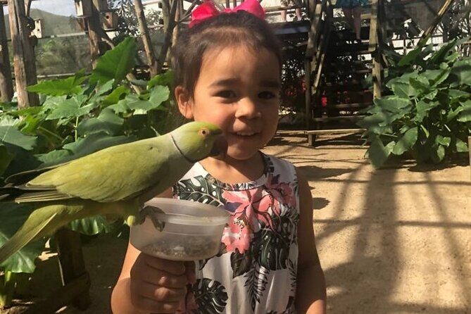 Colorful Species Of Birds - What Do Visitors Say? Authentic Perspectives