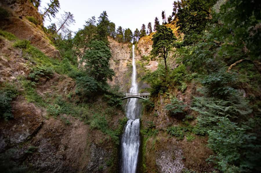 Columbia River Gorge Waterfall Shuttle Tour - Who Will Love This Tour?