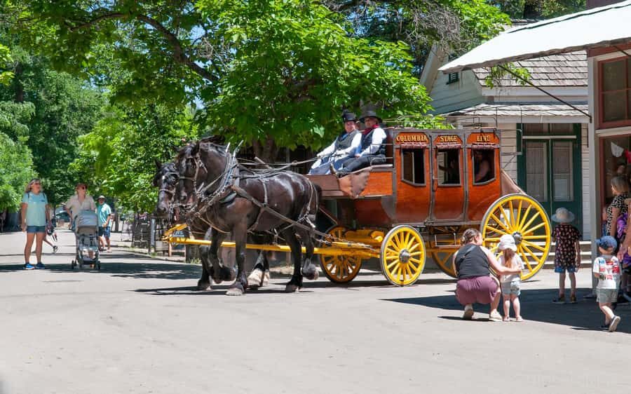 Columbia State Park: Old West Stagecoach Ride - Practical Tips for Travelers