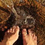 Combination: Argyle Waterfall & Tropical Garden with Hummingbirds - Why This Tour Offers Good Value