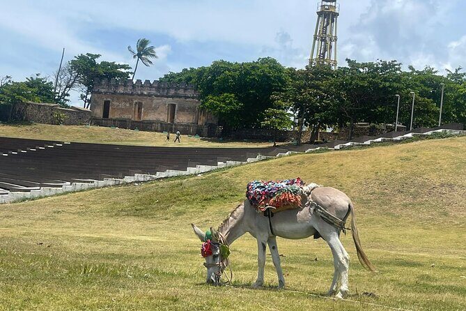 Combo : ATV Adventure with City Tour in Puerto Plata - Who Should Consider This Tour?