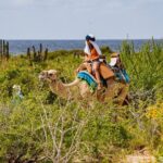 Combo ATV and Camel Ride in the Cape Desert and Buffet - FAQ