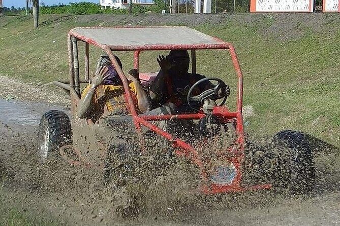 Combo: Buggy Adventure and City Tour: Countryside, Taste and Beach - The Sum Up