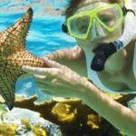 Combo El Yunque Rainforest and San Juan Snorkeling with Transport - Who Is This Tour Best For?