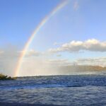 Complete Guided Tour of Niagara Attractions and Trails - Analyzing the Experience Value