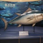 Complete Tuna Auction & Toyosu Fish Market Tour - The Downsides