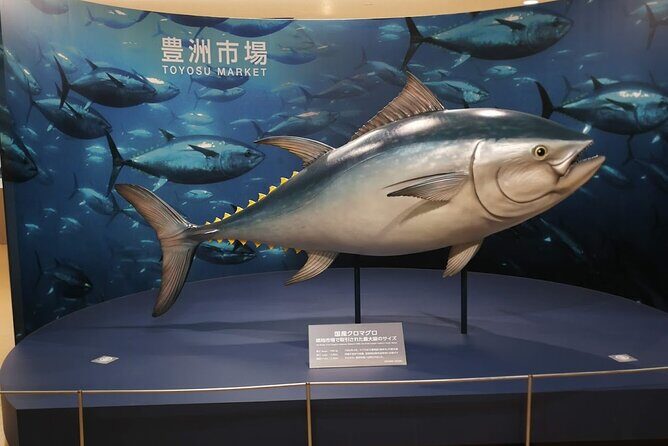 Complete Tuna Auction & Toyosu Fish Market Tour - The Downsides