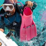 Concierge Two Tank Boat Dive in Bonaire (4 Divers) - The Sum Up