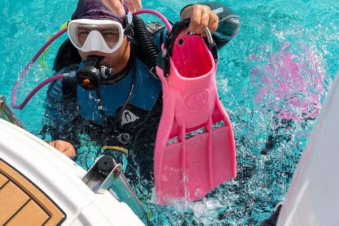 Concierge Two Tank Boat Dive in Bonaire (4 Divers) - The Sum Up