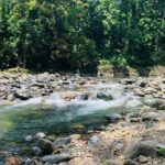 Concrete Jungle to the Actual Jungle, The Complete Package Tour - Scenic Coastal Drive and Beach Stop: From City Streets to Seaside Views