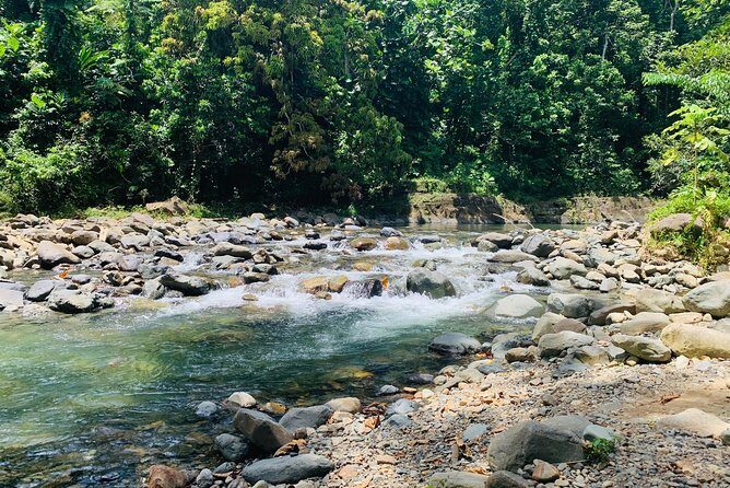 Concrete Jungle to the Actual Jungle, The Complete Package Tour - Scenic Coastal Drive and Beach Stop: From City Streets to Seaside Views