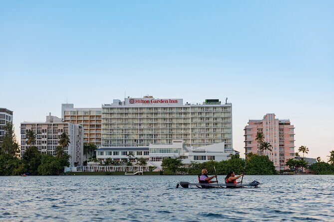 Condado Lagoon: Nature Kayak Tour - The Sum Up
