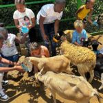 Connors Farms Petting Zoo - The Itinerary and What to Expect