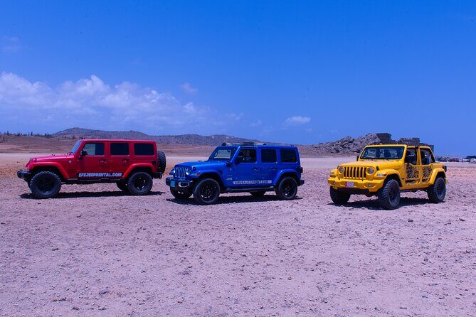 Convenient Jeep Rentals for Island Adventures - What to Expect on Your Aruba Jeep Adventure