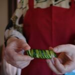 Cook Everyday Japanese Home Meals with Your Tokyo Mo - The Sum Up