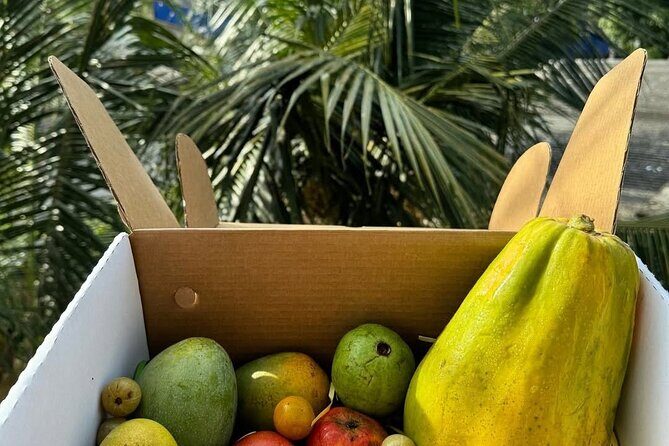 Cooking Class and Market Visit in Negombo - Who Should Consider This Experience?