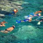 Coral Nursery Snorkeling Eco Adventure in La Paz - Why This Tour Offers Real Value