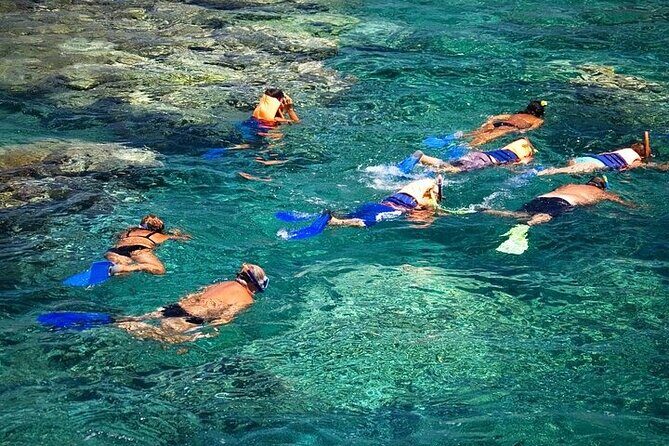 Coral Nursery Snorkeling Eco Adventure in La Paz - Why This Tour Offers Real Value