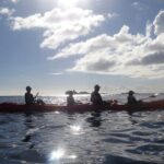 Coral Reef and Turtle Discovery Tour - Who Will Love This Tour?