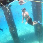 Coral Reef Snorkel Adventure with Photos and Videos - An In-Depth Review of the Snorkeling Experience