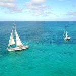 Coral Sunset Sail with 3 Course Dinner in Aruba - What’s Worth Noting