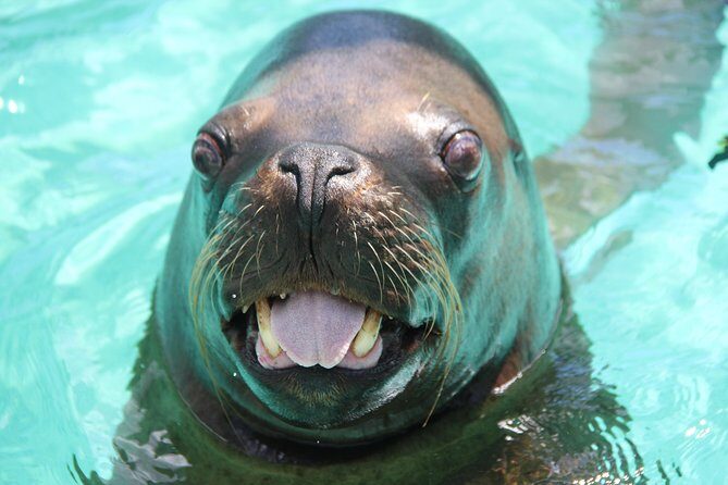 Coral World Ocean Park General Admission Ticket - What Do Visitors Say?