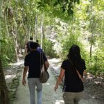 Costa Maya Chacchoben Ruins and the Fruit Market - Visiting the Pedro Antonio Santos Fruit Market