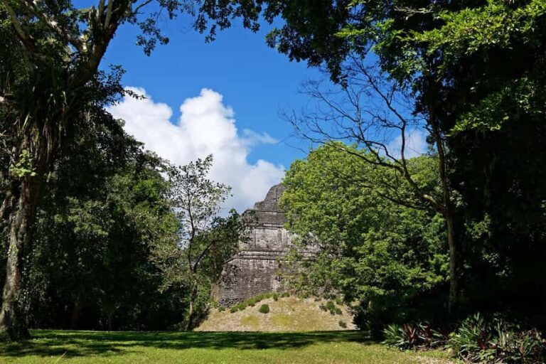 Costa Maya: Exclusive Dzibanche Ruins Premier Tour - The Itinerary Breakdown