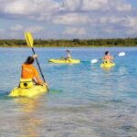 Costa Maya: Mayan Family Visit & Bacalar Lagoon Tour - In-Depth Look at the Itinerary