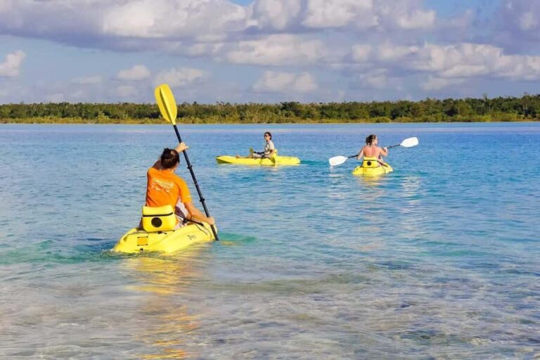 Costa Maya: Mayan Family Visit & Bacalar Lagoon Tour - In-Depth Look at the Itinerary