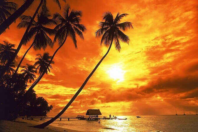 Costambar - Puerto Plata Airport - Should You Book This Shuttle?