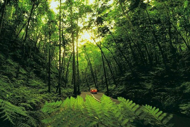 Country Side and Sight Seeing with Dunns River Falls - Final Thoughts